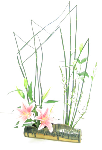 543. Japanese Flower Show Opening October 25, 2015 – Toronto ...